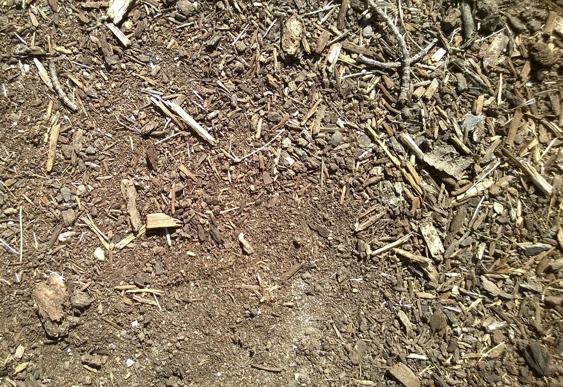 Home - ELMVALE LANDSCAPING AND CONTRACTORS